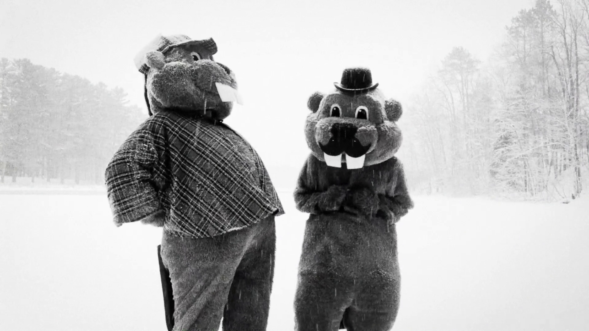 Hundreds of Beavers (1) | The Kim Newman Web Site